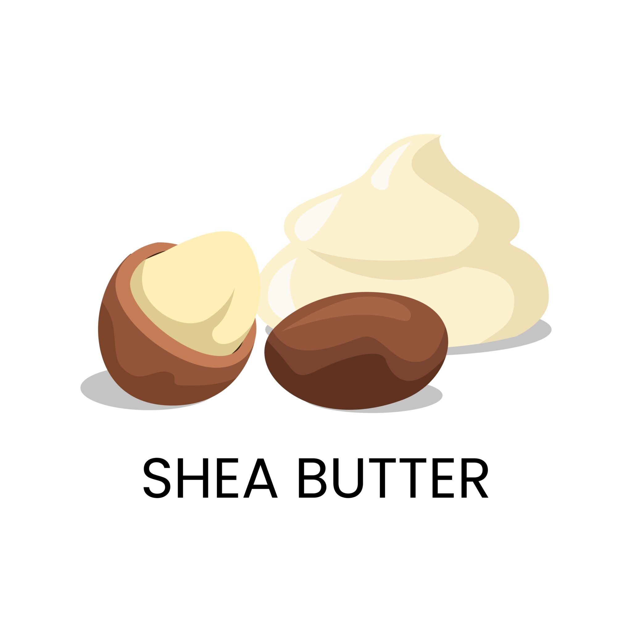 Cocoa Butter vs. Shea Butter | Kraft Chemical